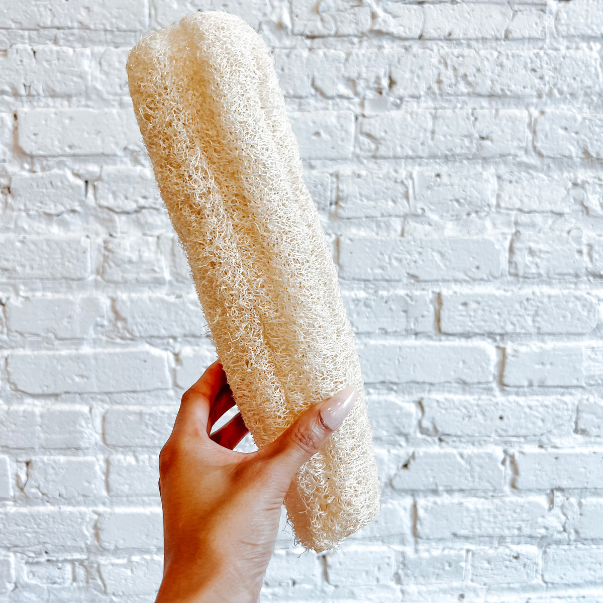 big loofah – Scratch Goods